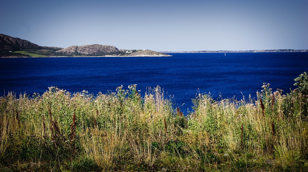 Bleu De La Mer Nature Paille - Photo gratuite sur Pixabay - Pixabay