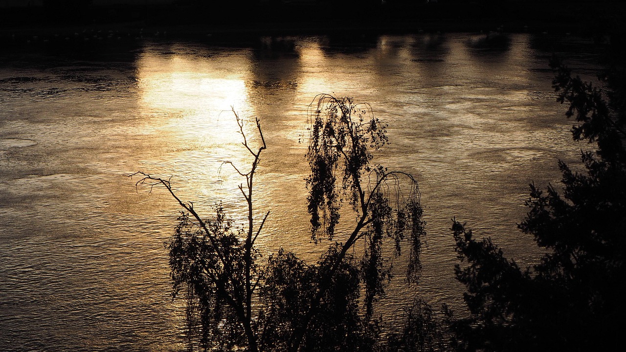 Rhine Tri-Border Region Because On - Free photo on Pixabay