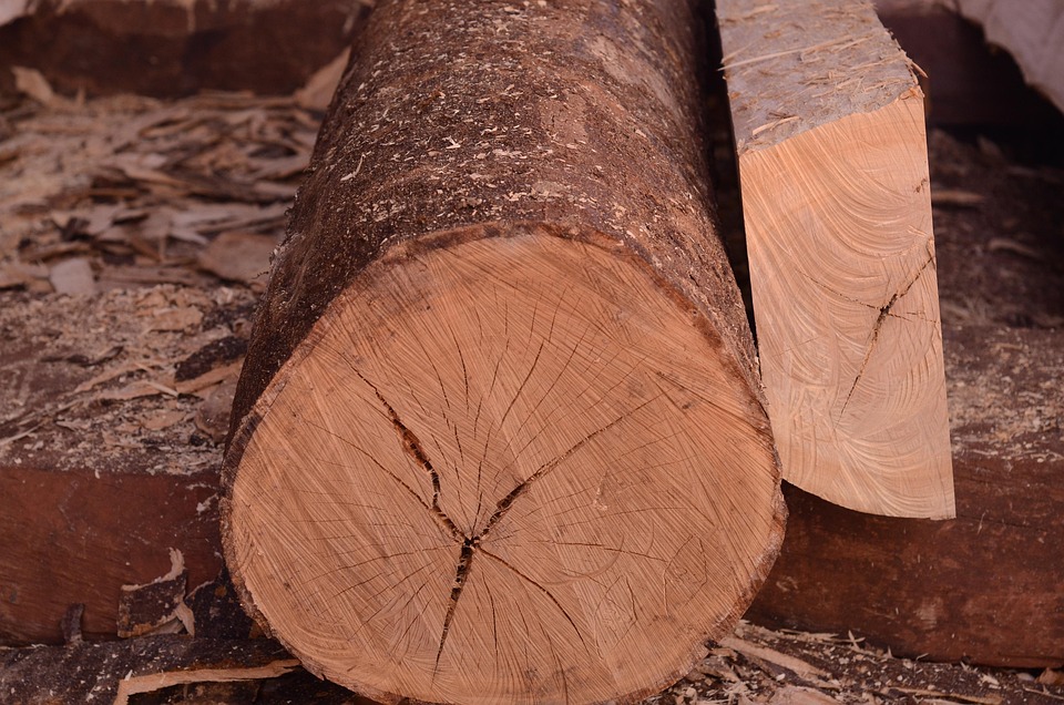 Madera Natural Silvicultura - Foto gratis en Pixabay - Pixabay