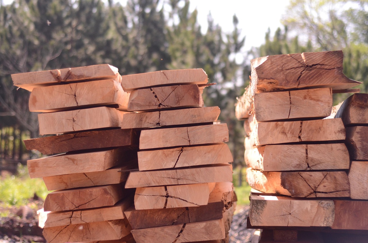 Holz Naturholz Forstwirtschaft - Kostenloses Foto auf Pixabay - Pixabay