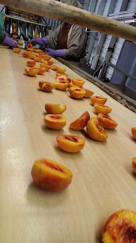 80+ Free Food Processing & Food Images - Pixabay