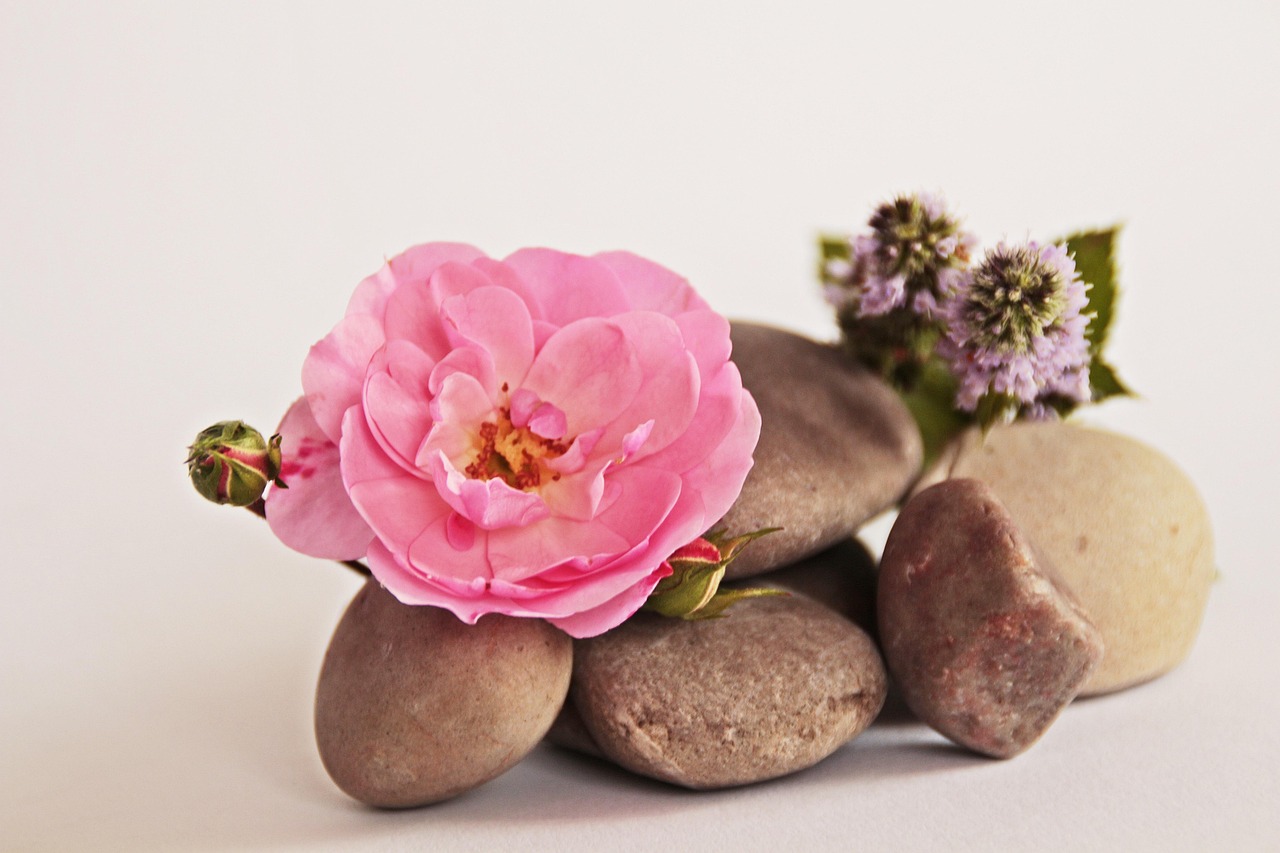 Stones Flower Blossom - Free photo on Pixabay - Pixabay