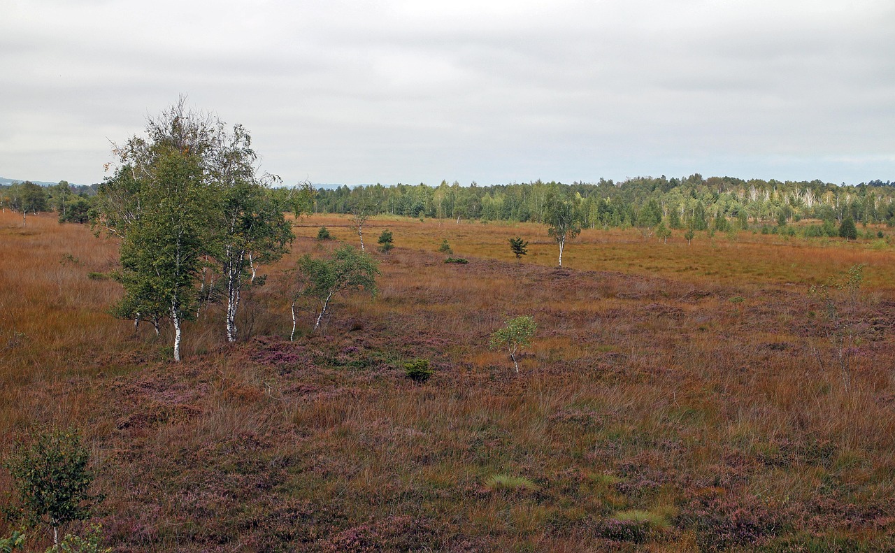 Landscape Pagan Moor - Free photo on Pixabay