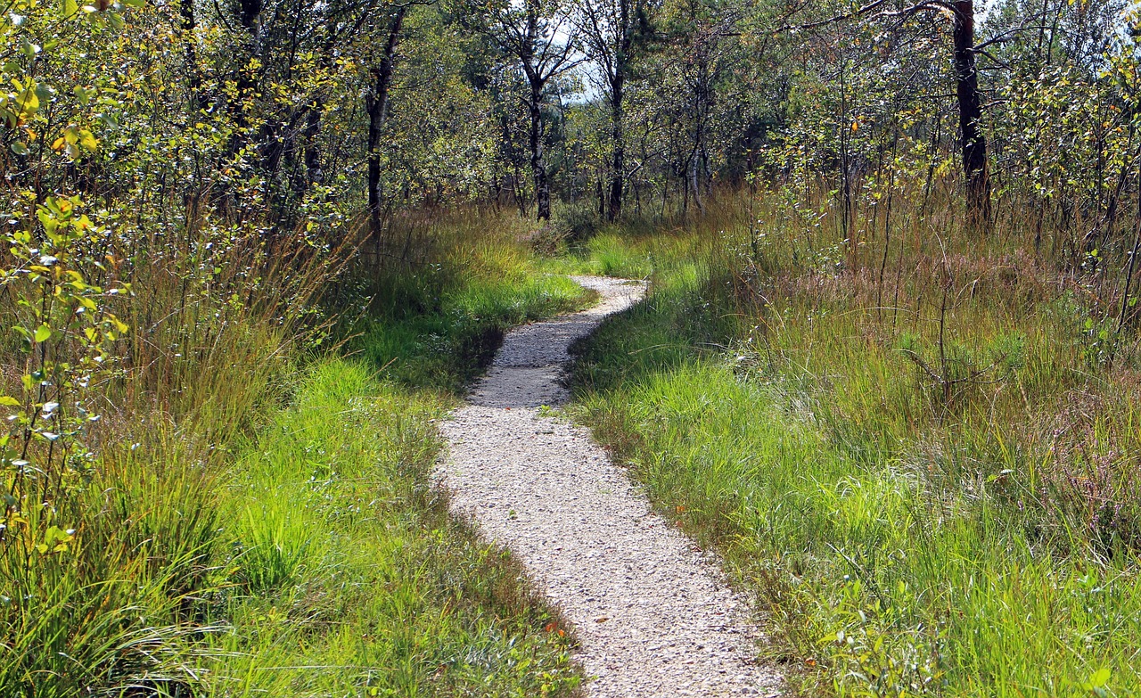 Recreation Leisure Time Path - Free photo on Pixabay - Pixabay