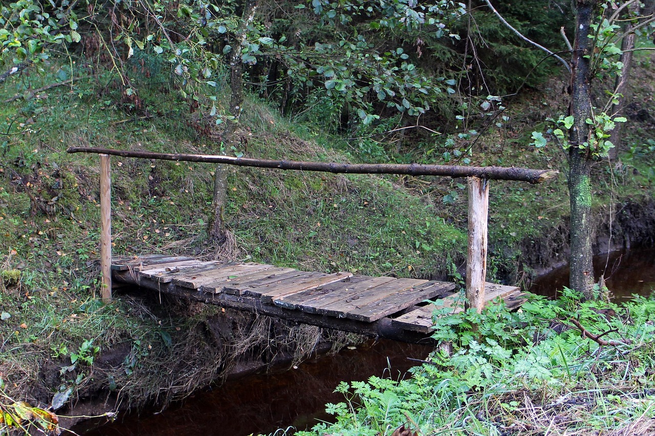 Holzbrücke Steg Holz - Kostenloses Foto auf Pixabay - Pixabay