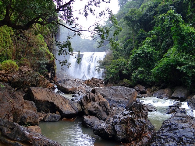 Sathodi Falls Water Fall Forest - Free photo on Pixabay