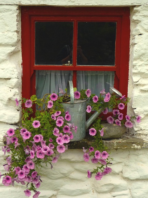 Window Flower Frames Floral - Free photo on Pixabay