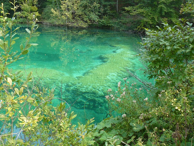 Croatie Hrvatska Nature Parc - Photo gratuite sur Pixabay - Pixabay