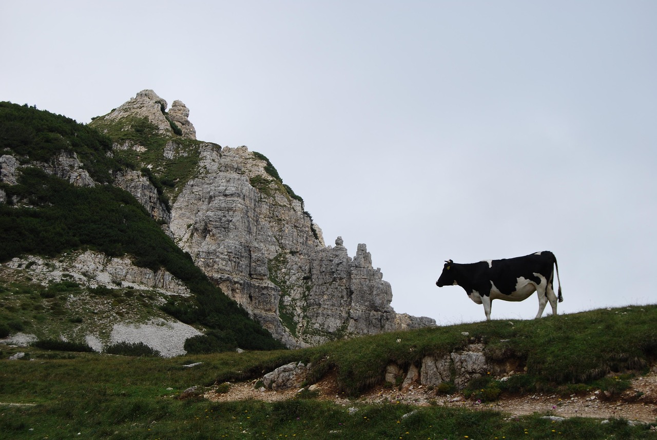 Cow Mountain - Free photo on Pixabay