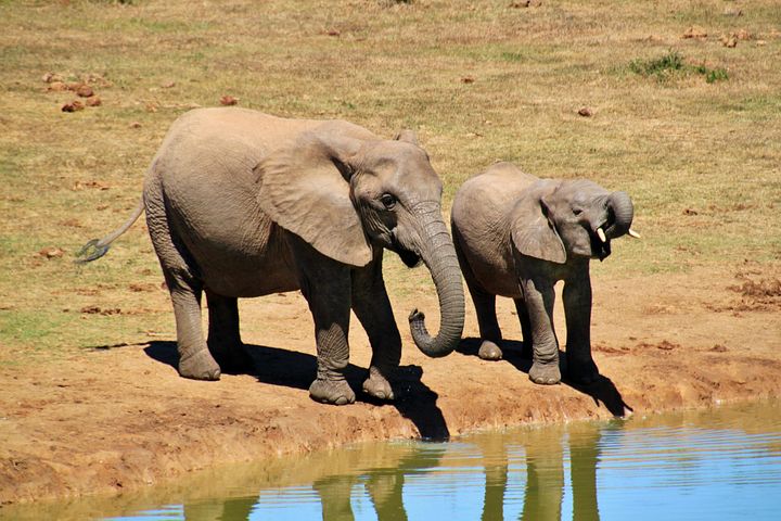 400+ Free Water Conservation & Water Images - Pixabay