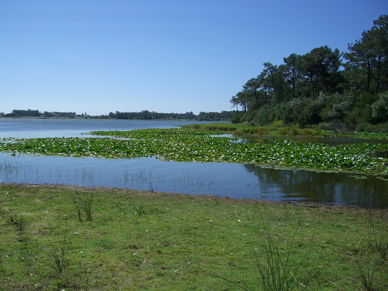 Laguna Natur - Kostenloses Foto auf Pixabay - Pixabay