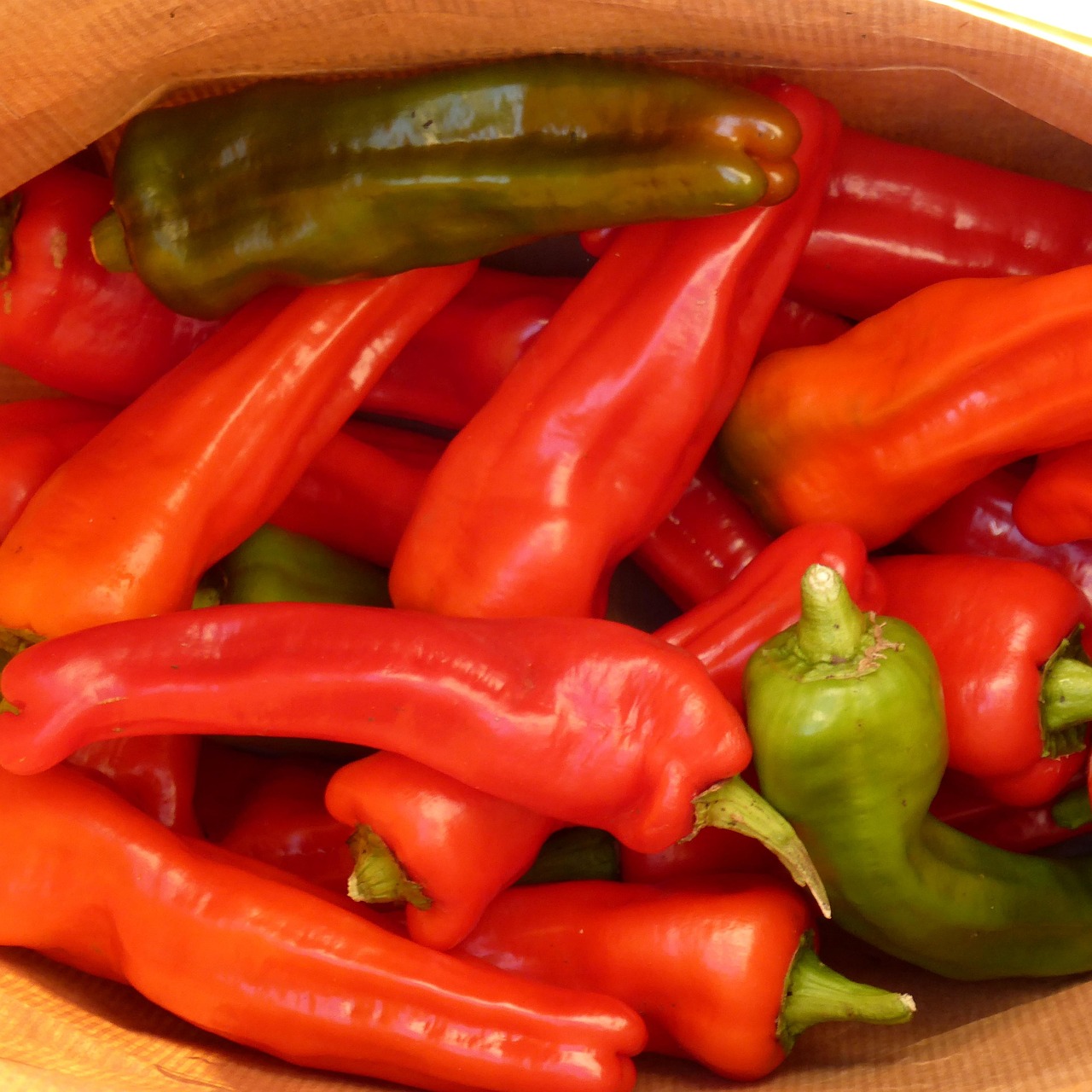 Paprika Pepperoni Rot - Kostenloses Foto auf Pixabay - Pixabay