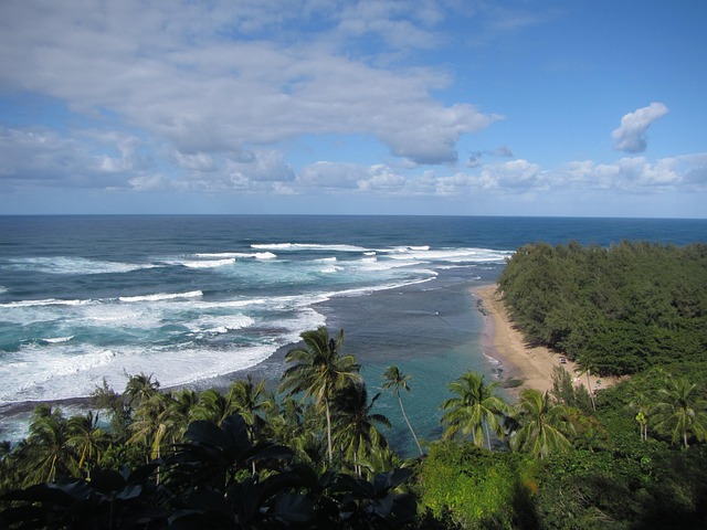 2,000+ Free Hawaii & Nature Images - Pixabay