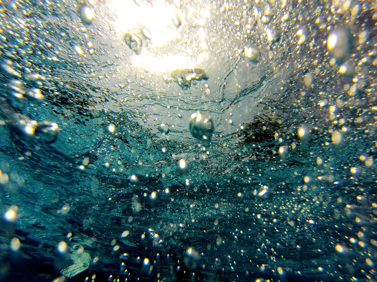 3,000+ Free Scuba Diving & Scuba Images - Pixabay