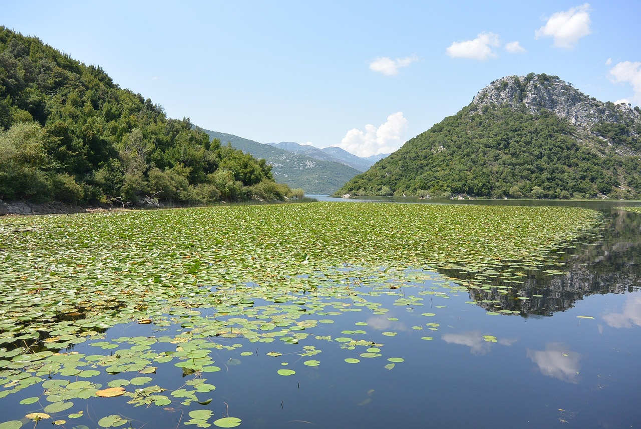 Skadar Lake Montenegro Journey - Free photo on Pixabay