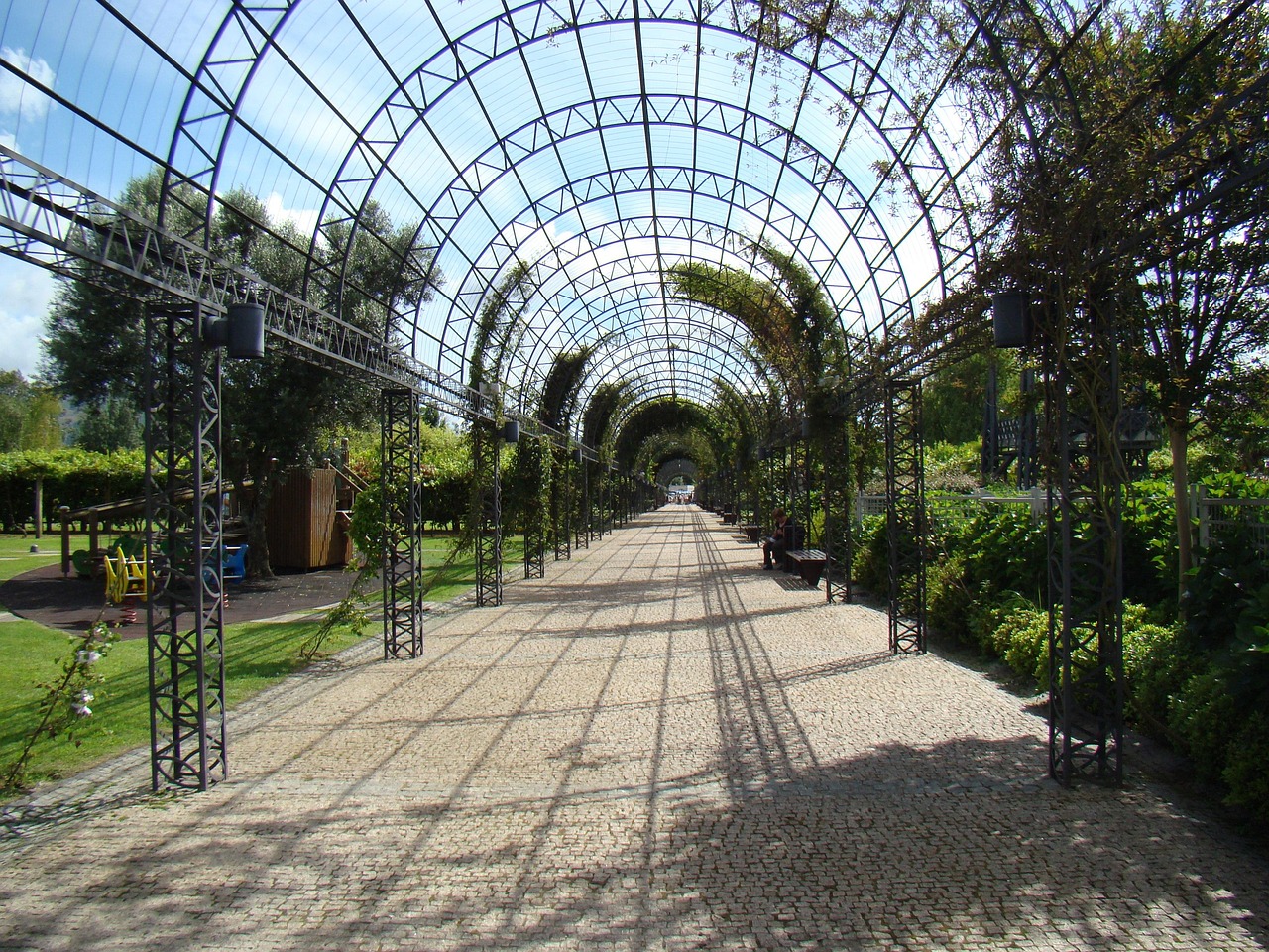 60+ kostenlose Gartenfest und Sommerfest-Bilder - Pixabay