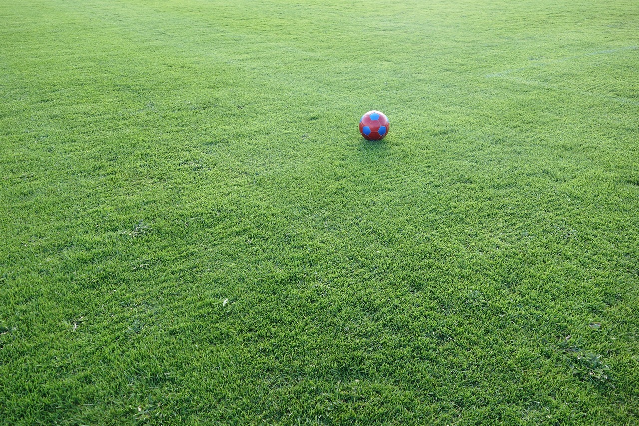 Sports Ground Another Meaning at Christy Nathan blog