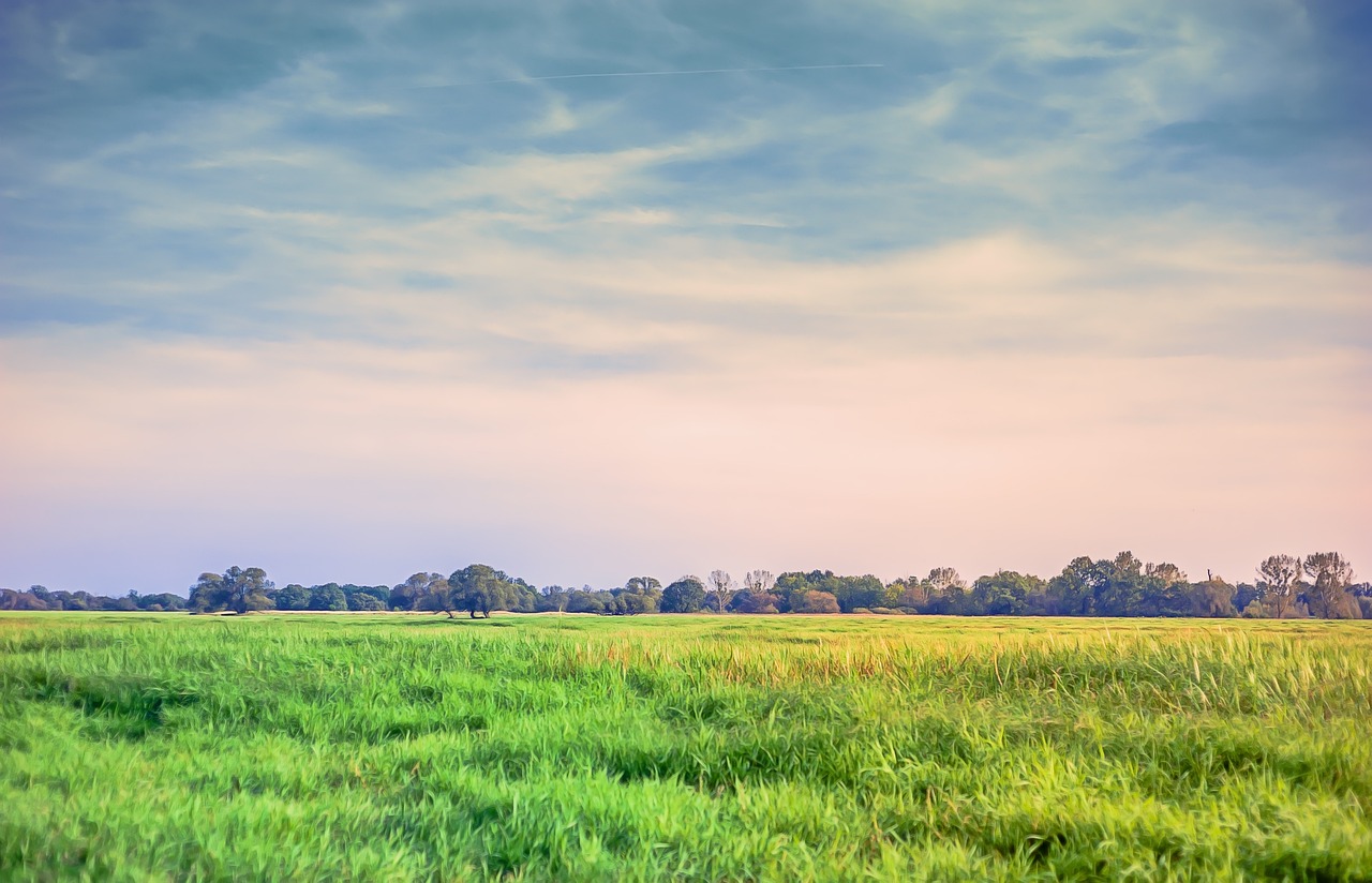 Landschaft Wiese Gras - Kostenloses Foto auf Pixabay - Pixabay