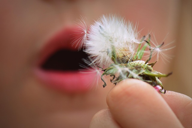 A Sufla Gura Puf - Fotografie gratuită pe Pixabay - Pixabay