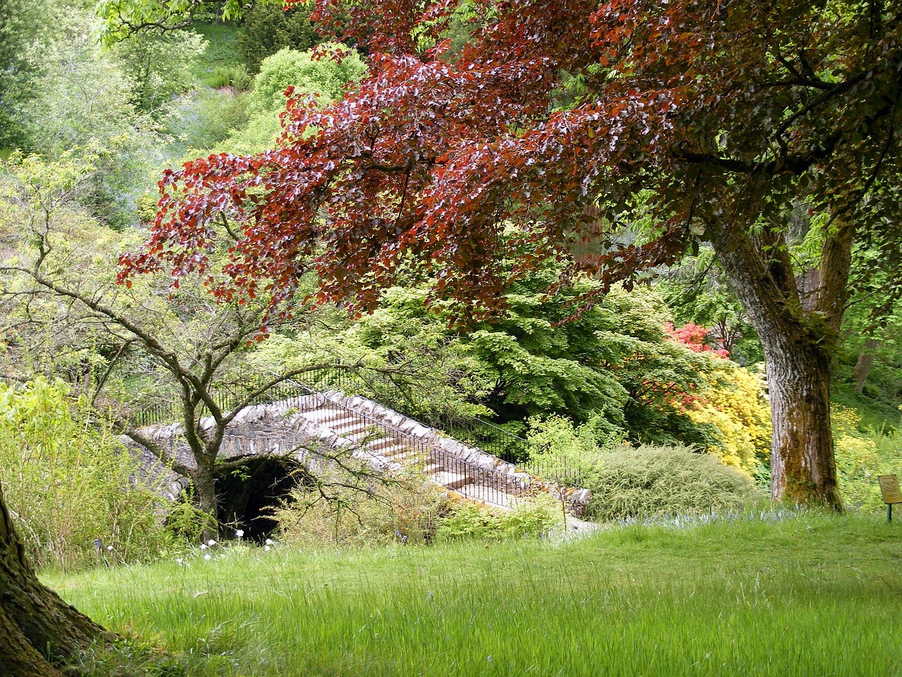 Garden Vegetation Bridge - Free photo on Pixabay - Pixabay