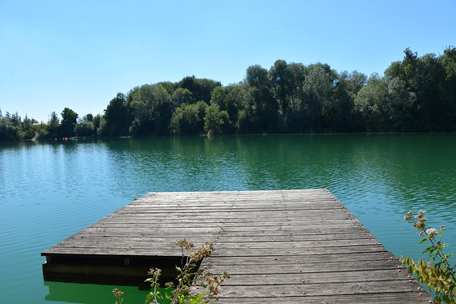 Agua Web Lago - Foto gratis en Pixabay - Pixabay