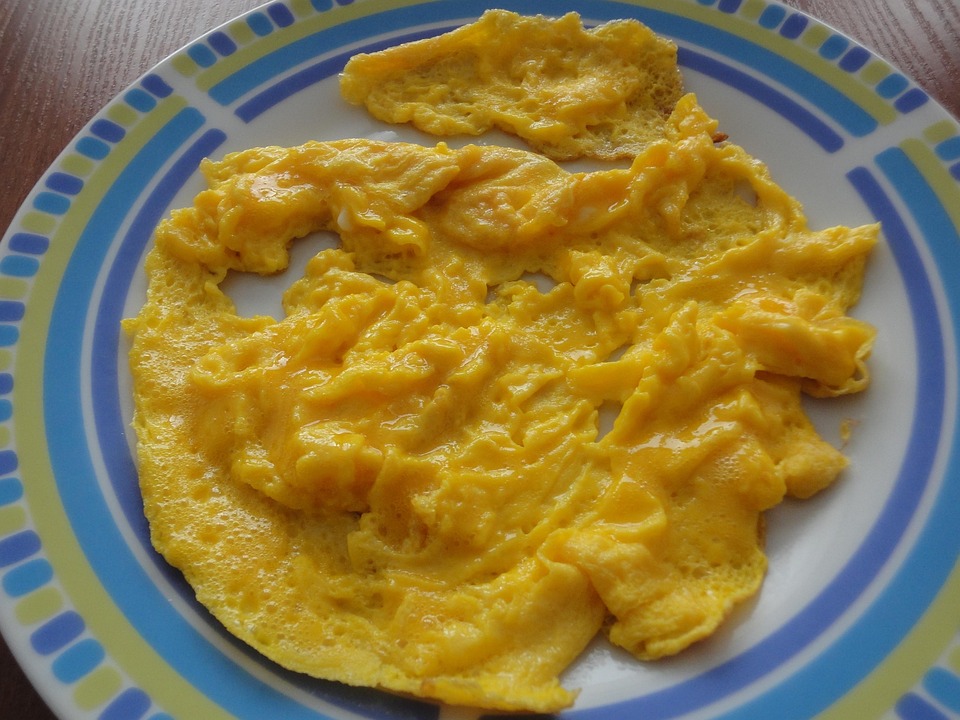 Omelette Eggs The Duck - Free photo on Pixabay - Pixabay
