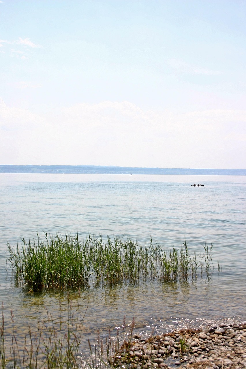 Lago Di Costanza Rive Del - Foto gratis su Pixabay - Pixabay