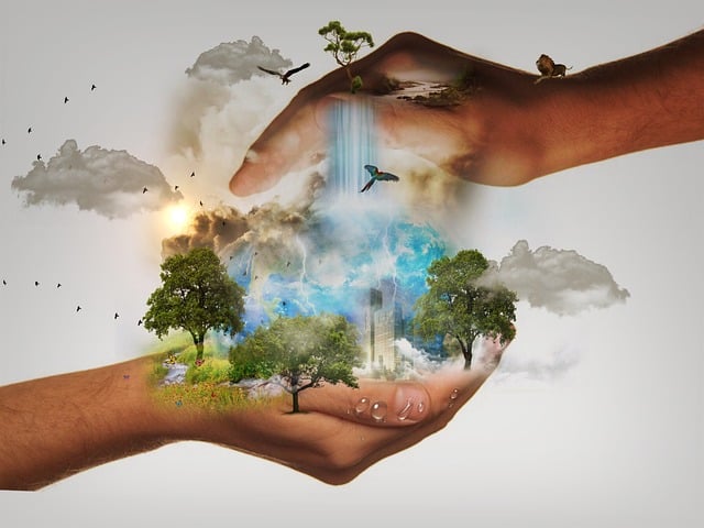 Illustration gratuite: Conservation De La Nature - Image gratuite sur ...