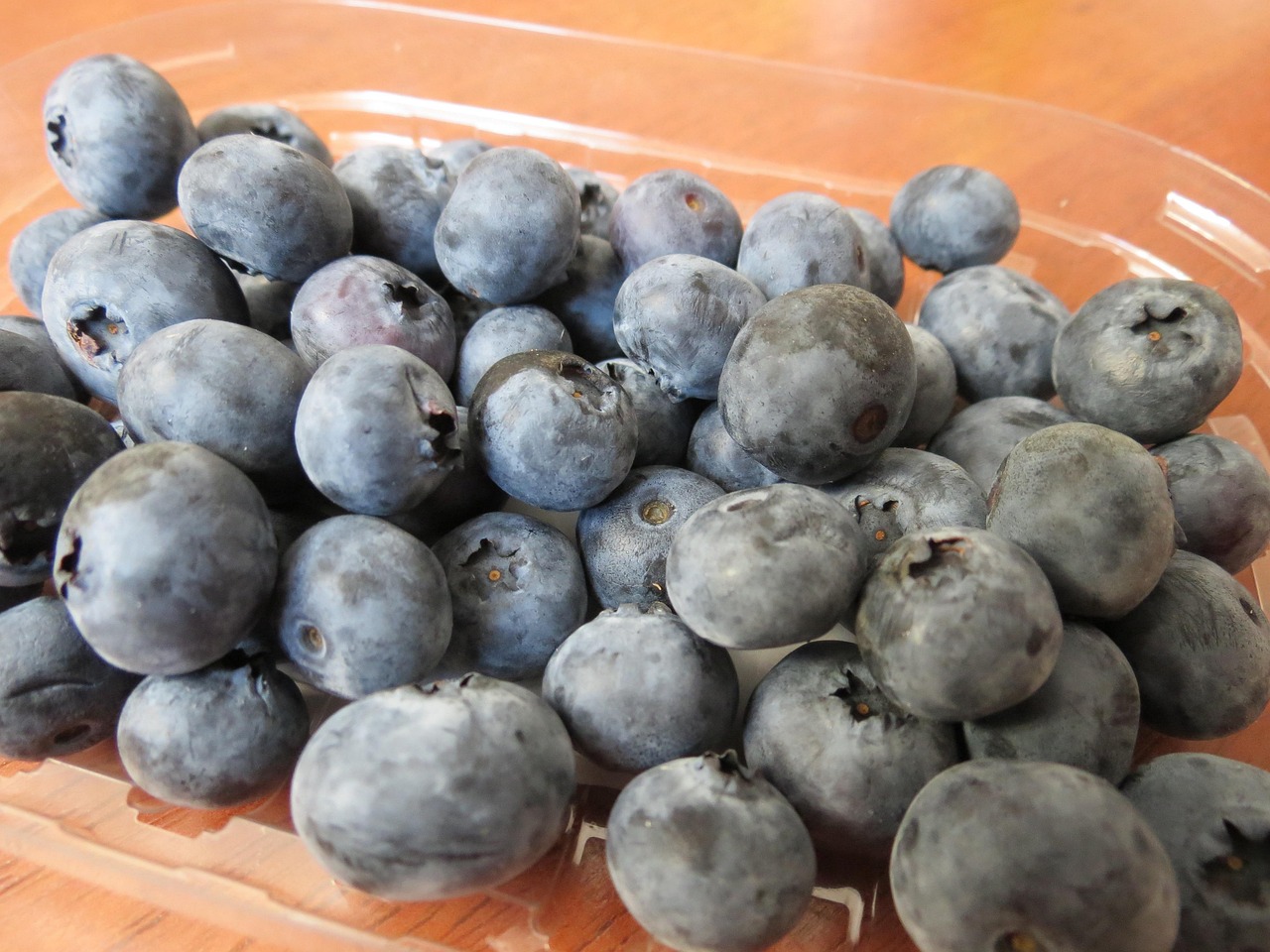 Blueberries Berries Fruit - Free photo on Pixabay - Pixabay
