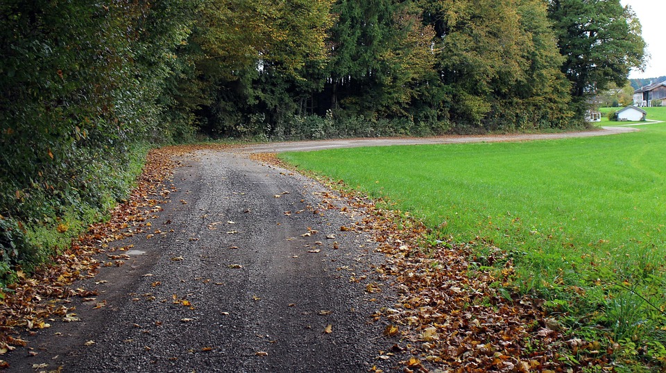 Road Path Nature - Free photo on Pixabay
