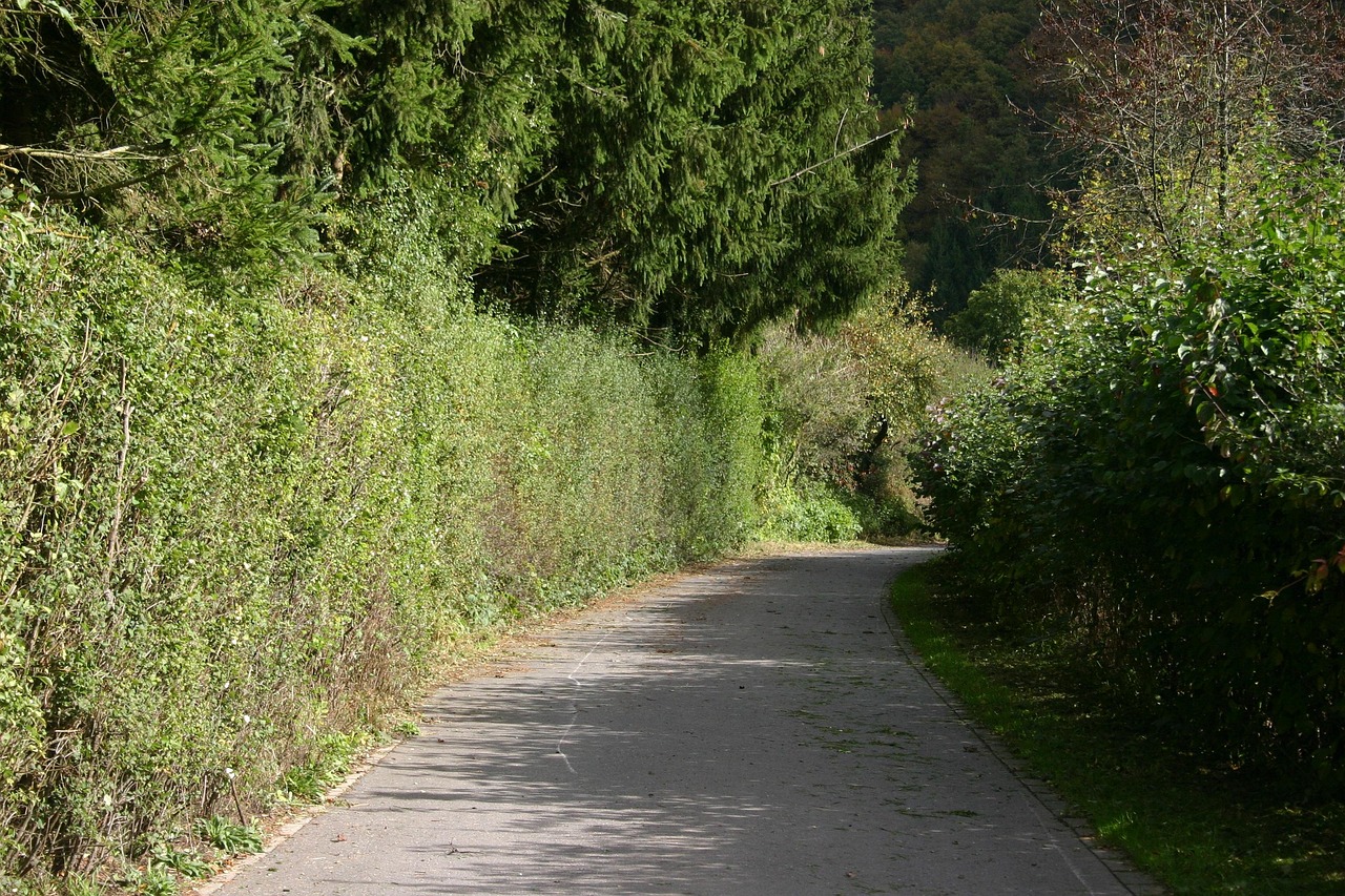 Estrada Rural Longe Passarela - Foto gratuita no Pixabay - Pixabay