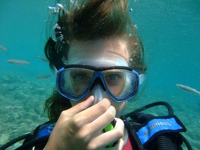 300+ Free Scuba Diving & Scuba Images