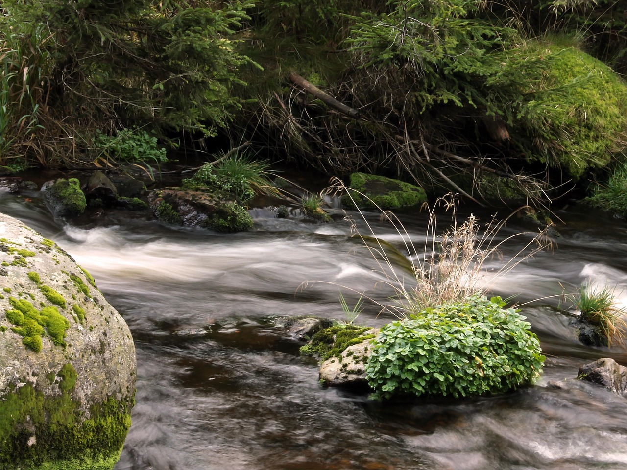 Water Calculus - Free photo on Pixabay - Pixabay