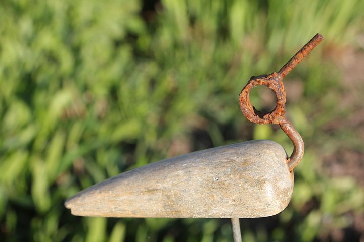 20+ Free Haland & Halland Images - Pixabay