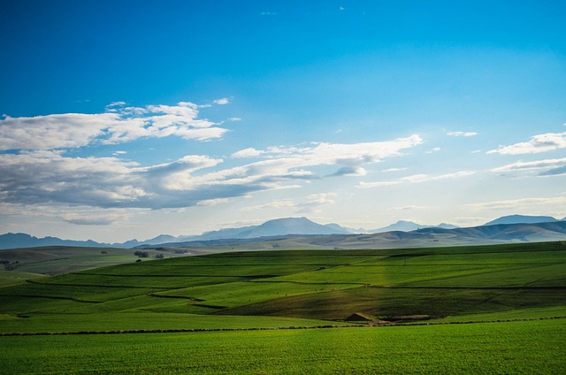 Pasture Fields Landscapes - Free photo on Pixabay - Pixabay