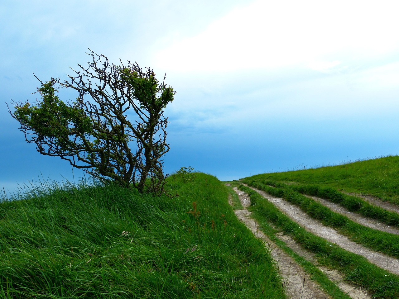 Path Hike Trail - Free photo on Pixabay