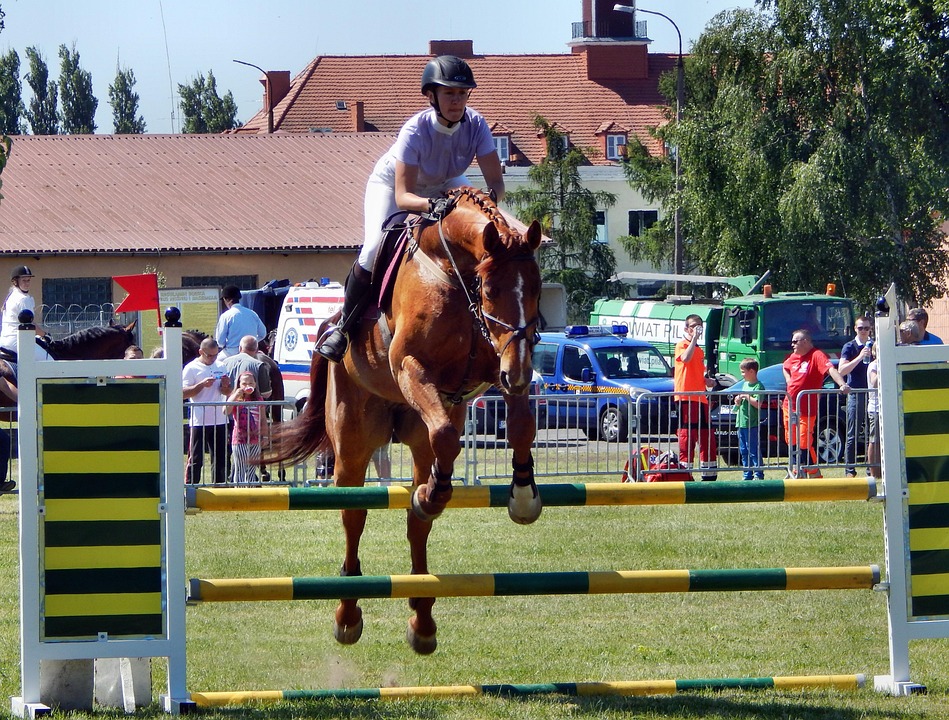 Horse Gallop Horses - Free photo on Pixabay