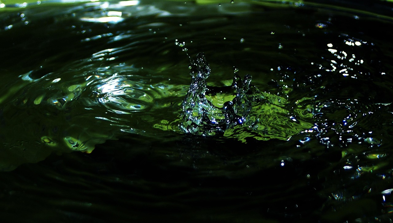 Drops Water Shine - Free photo on Pixabay - Pixabay