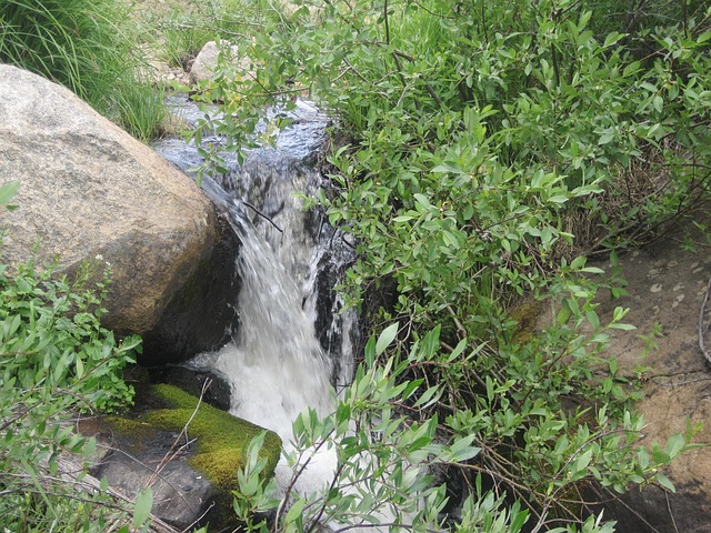 Riacho Agua Natureza - Foto gratuita no Pixabay - Pixabay
