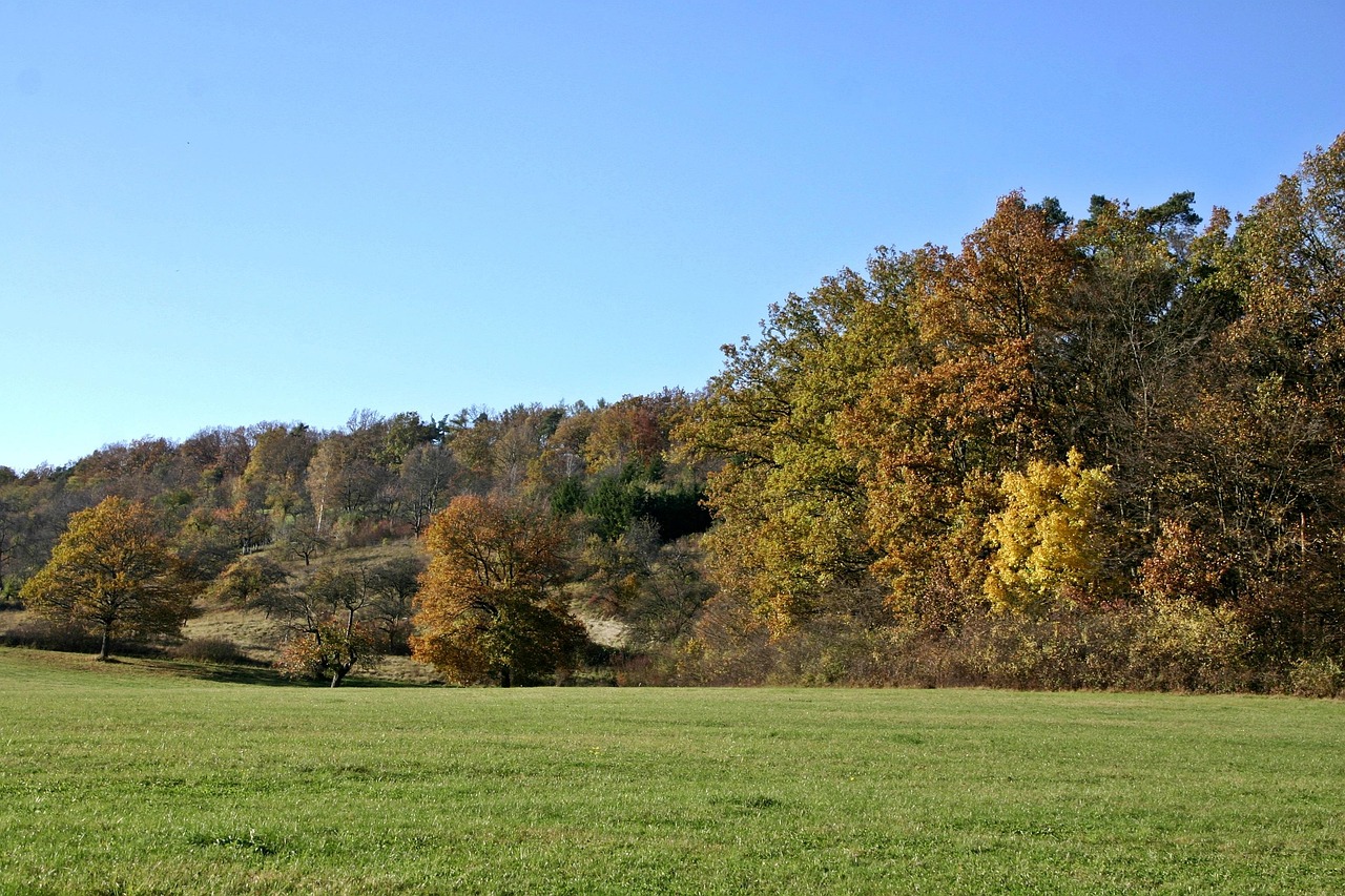 Autumn Landscape - Free photo on Pixabay