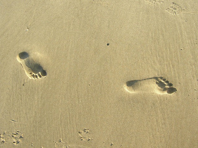10,000+ Free Walking Feet & Feet Images - Pixabay