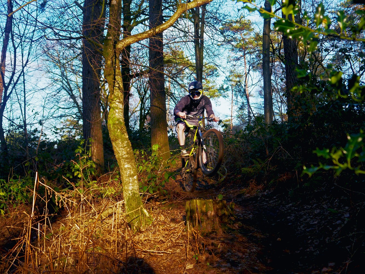 Mountain Bike Sports Forest - Free photo on Pixabay - Pixabay