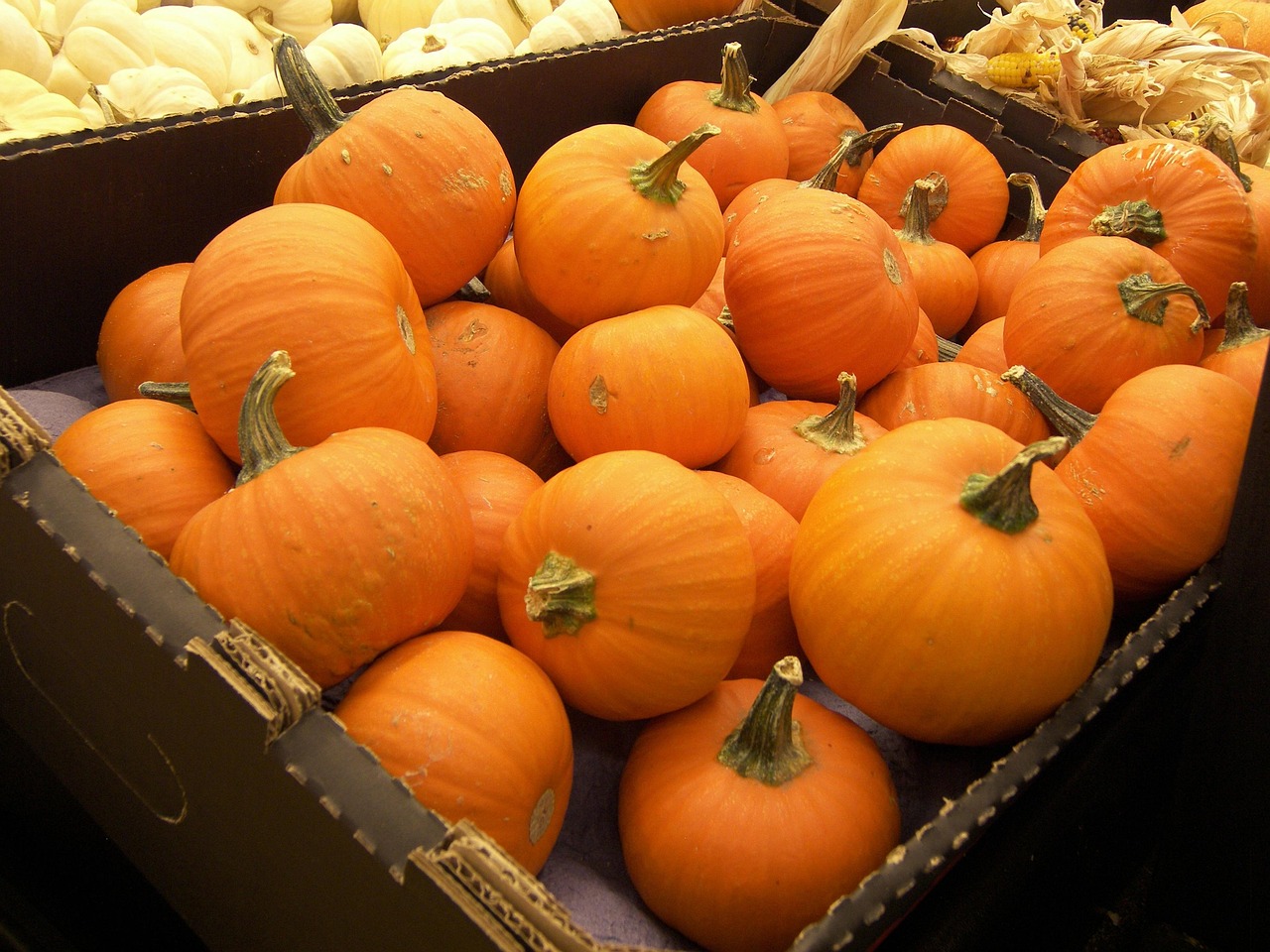 Citrouilles Caisse Aliments Des - Photo gratuite sur Pixabay - Pixabay