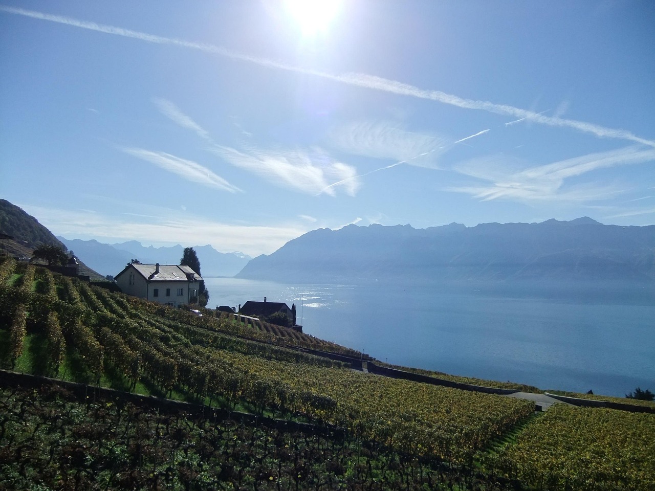 Lake Geneva Switzerland Evening - Free photo on Pixabay - Pixabay