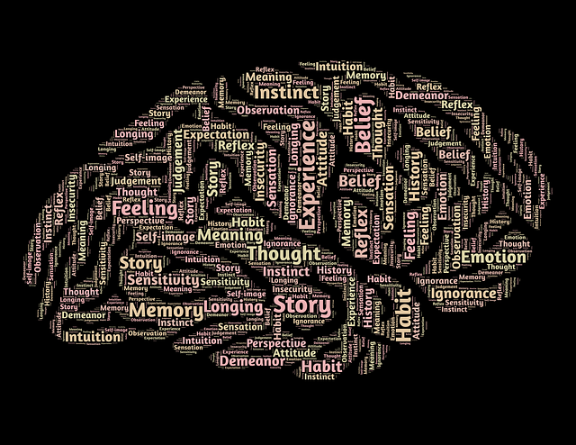 Intelligence Cerveau Écouter - Image gratuite sur Pixabay - Pixabay