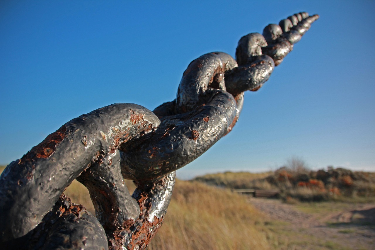 Large Chain Links