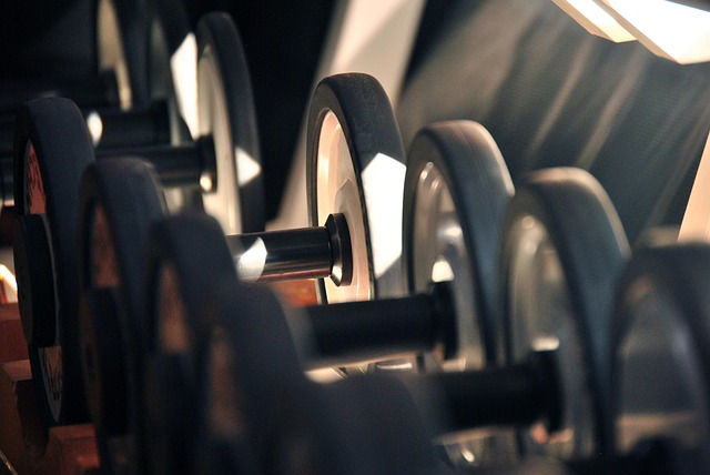 Page 3 - 5,000+ Free Gym Training & Gym Photos - Pixabay