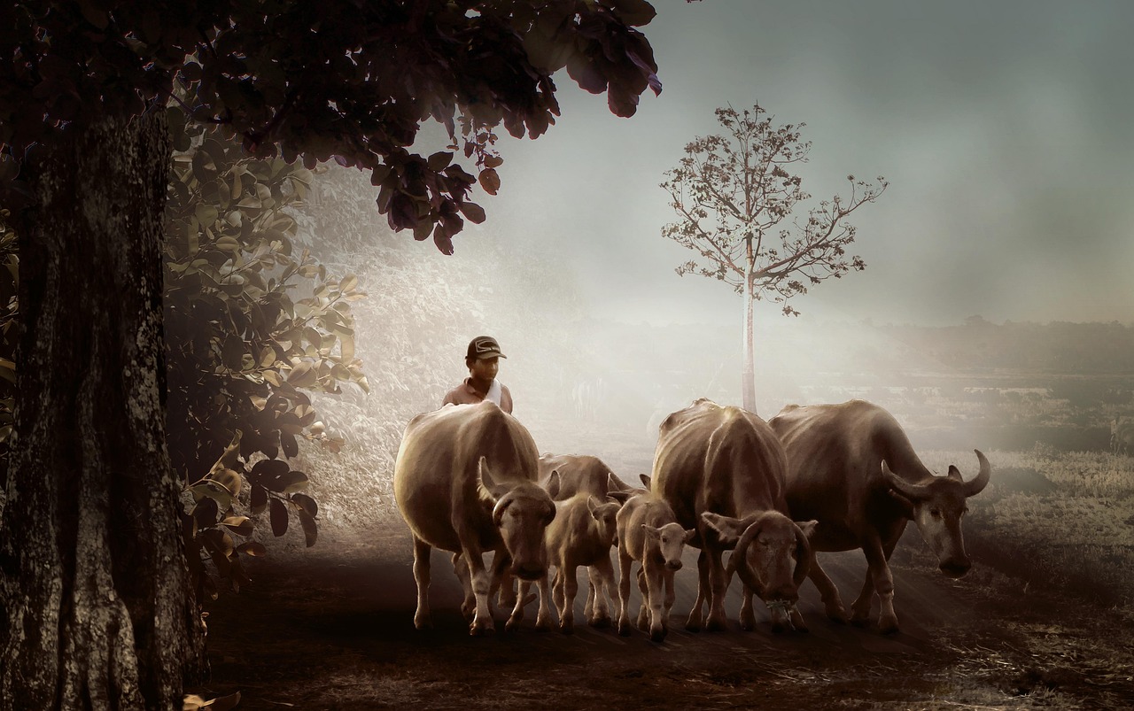 20,000+ Free Farmer Man & Farmer Images - Pixabay