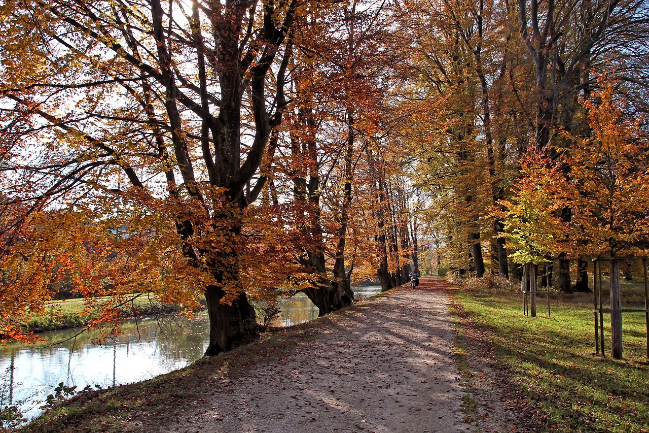 Parque Sale De Naturaleza - Foto gratis en Pixabay - Pixabay