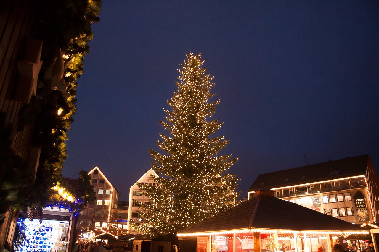 Christmas Market Fir Tree Light - Free photo on Pixabay - Pixabay